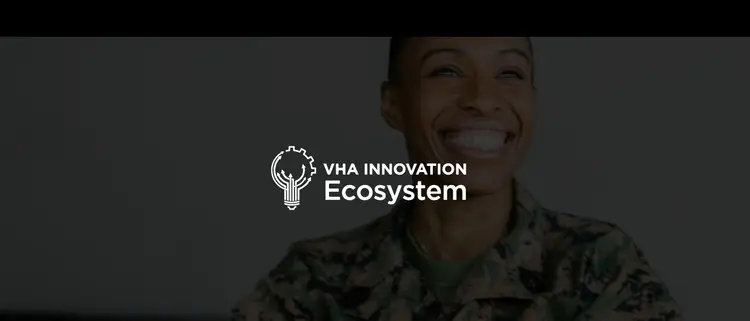 Using High-Quality Synthetic Data to Support Rapid Innovation: VHA ...